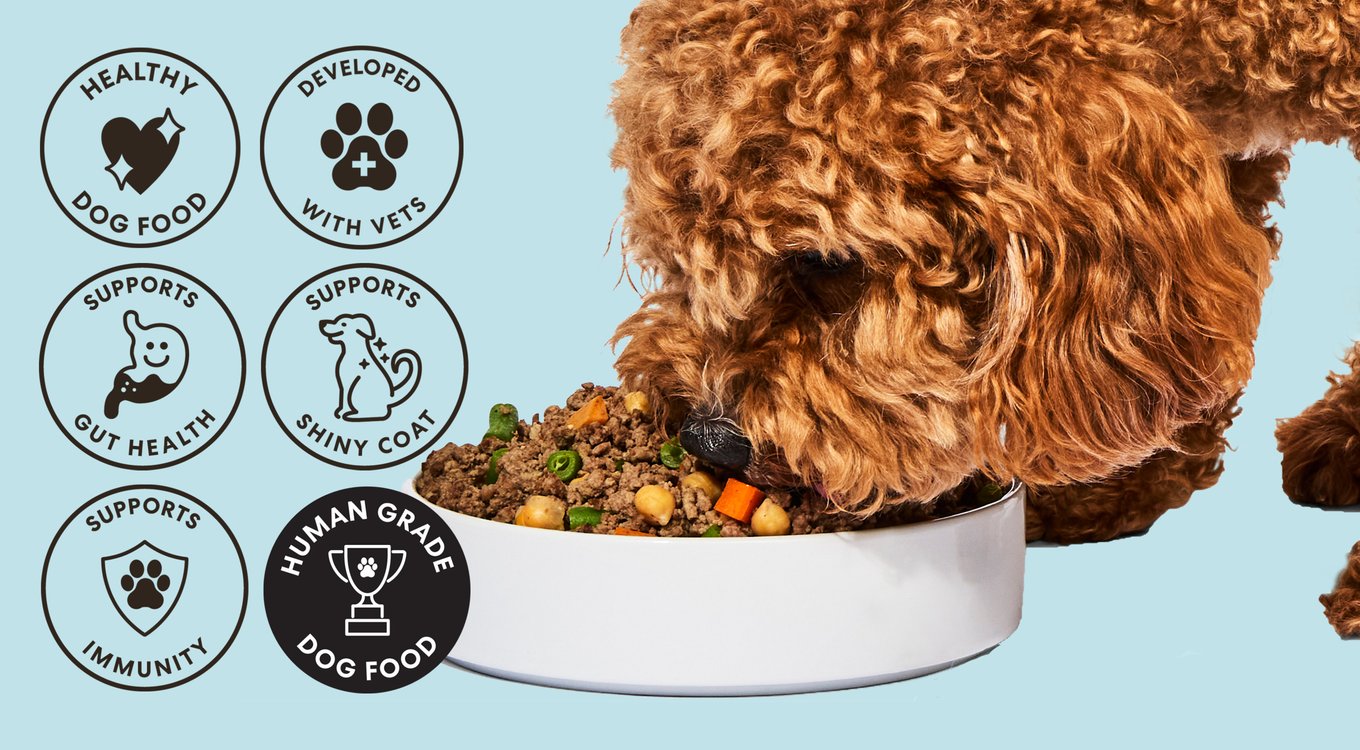 THE PETS TABLE Freshly-Made Frozen Human-Grade Variety Pack Dog Food ...