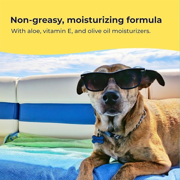 GENTLE CREATURES Pet Sunscreen with Aloe & Olive Oil Dog & Cat ...