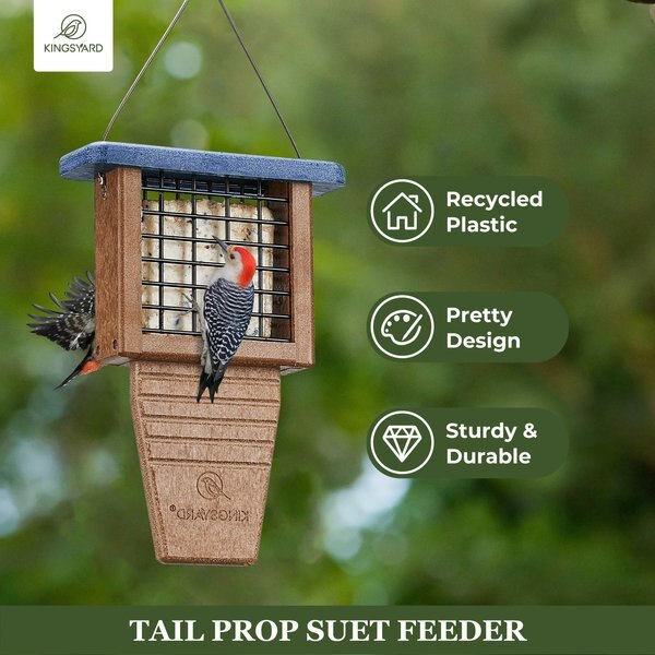 Out of Stock - KINGSYARD Recycled Plastic Wild Bird Suet Feeder, Blue ...