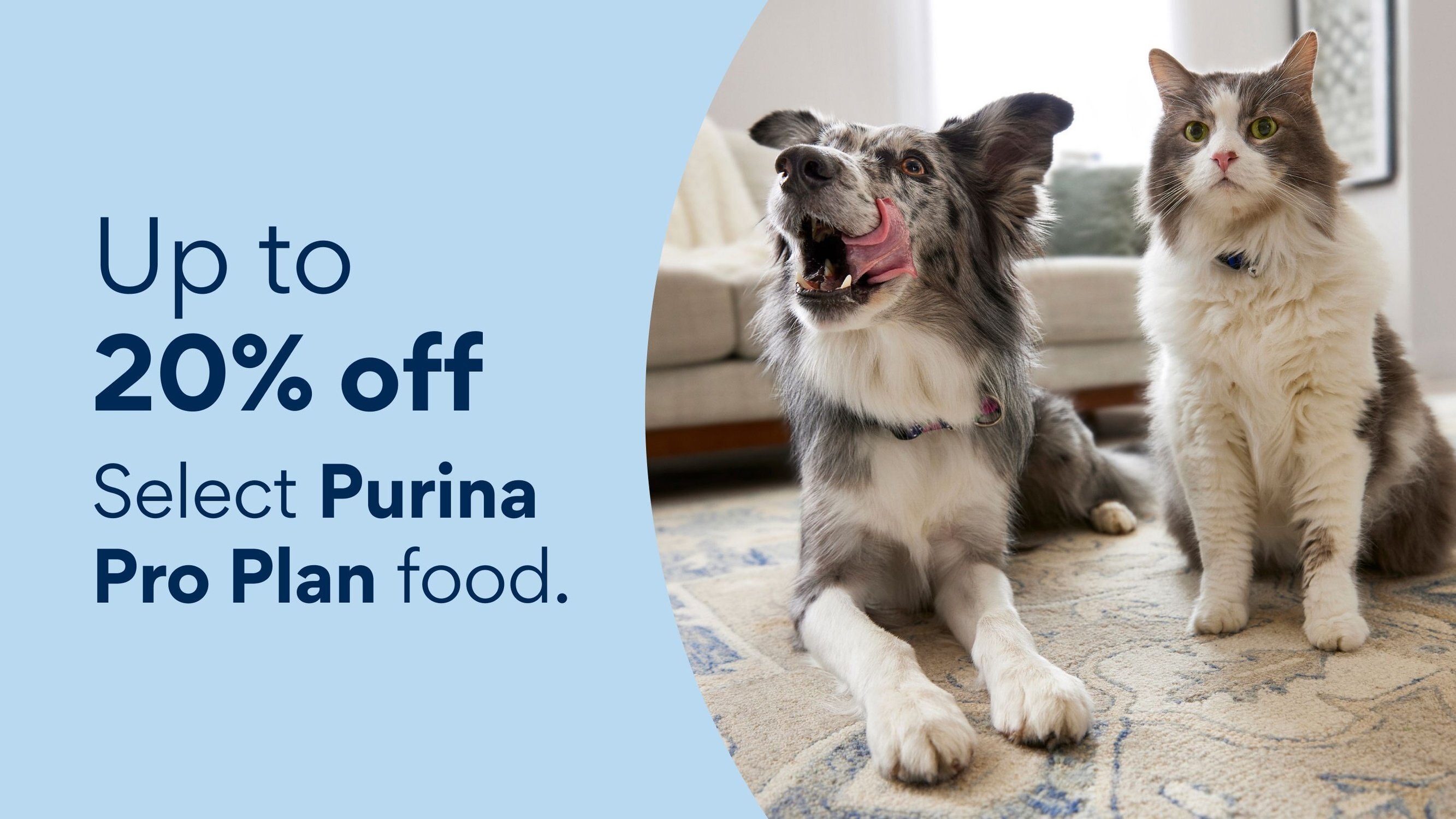 Today's Deals: Chewy Promo Codes, Discounts & Coupons | Chewy