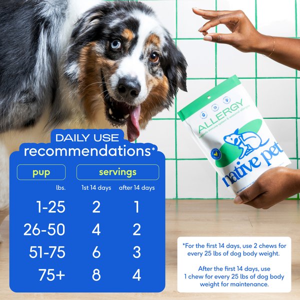 NATIVE PET Allergy & Immune Chews Allergy Relief Supplement for Dogs ...