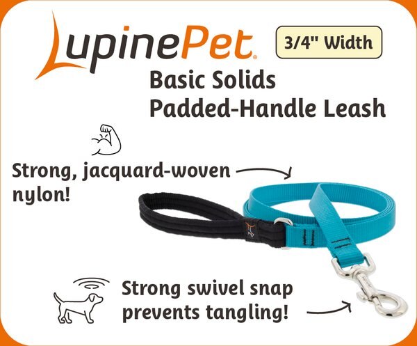 LUPINEPET Basic Solid Padded Handle Dog Leash, Purple, Regular: 6-ft ...