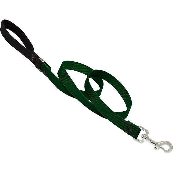 LUPINEPET Basic Solid Padded Handle Dog Leash, Green, Regular: 6-ft ...