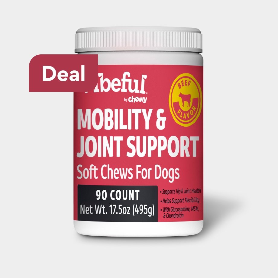 Dog Supplies On Sale: Discount Dog Supplies - Free Shipping | Chewy