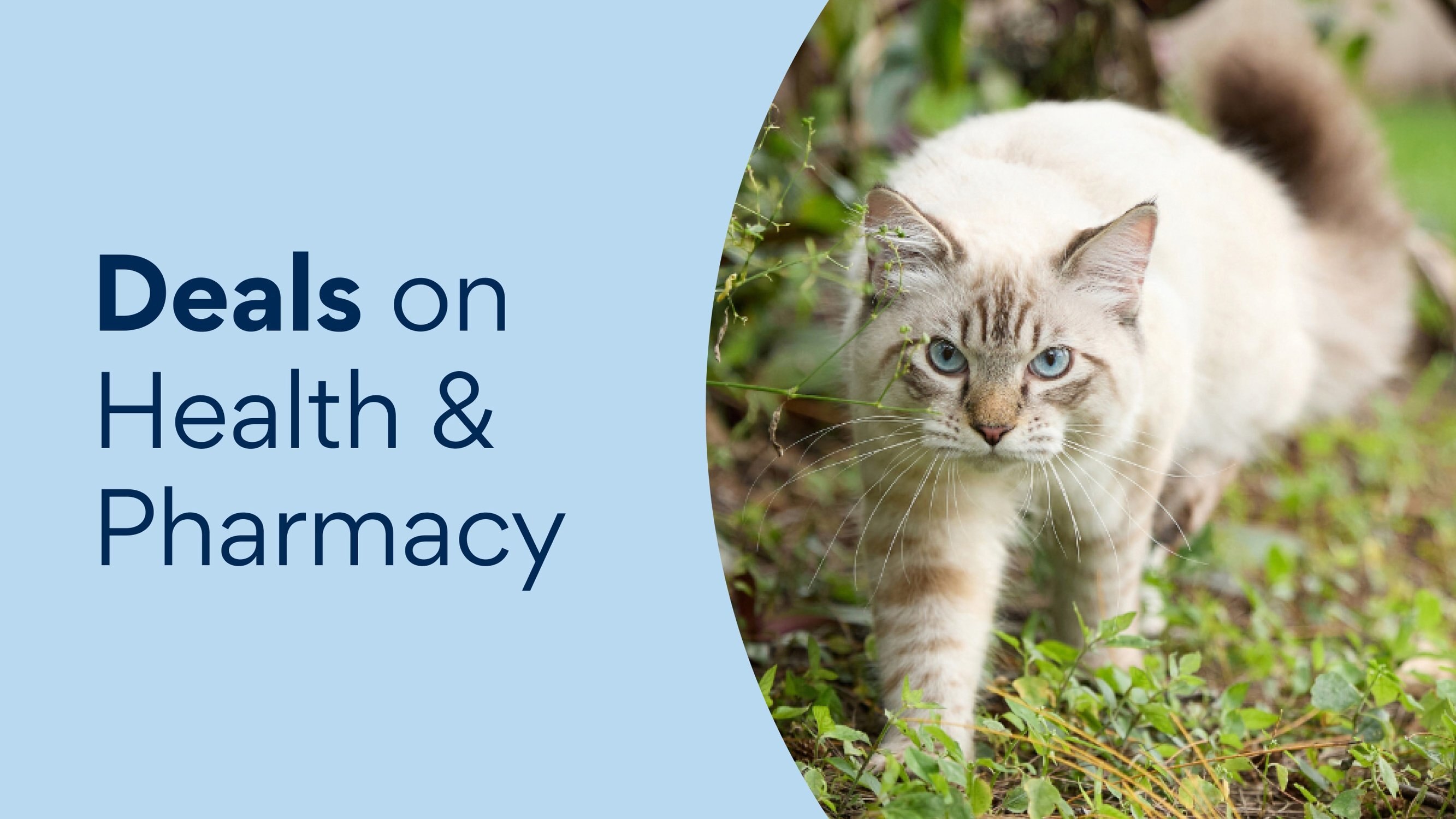 Cat Supplies On Sale: Discount Cat Supplies - Free Shipping | Chewy