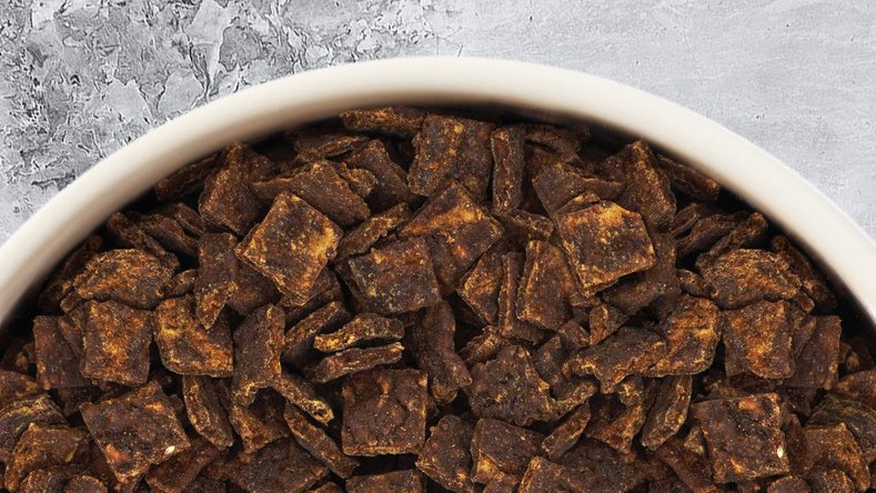 Fresh & Raw Dog Food - Free Shipping | Chewy