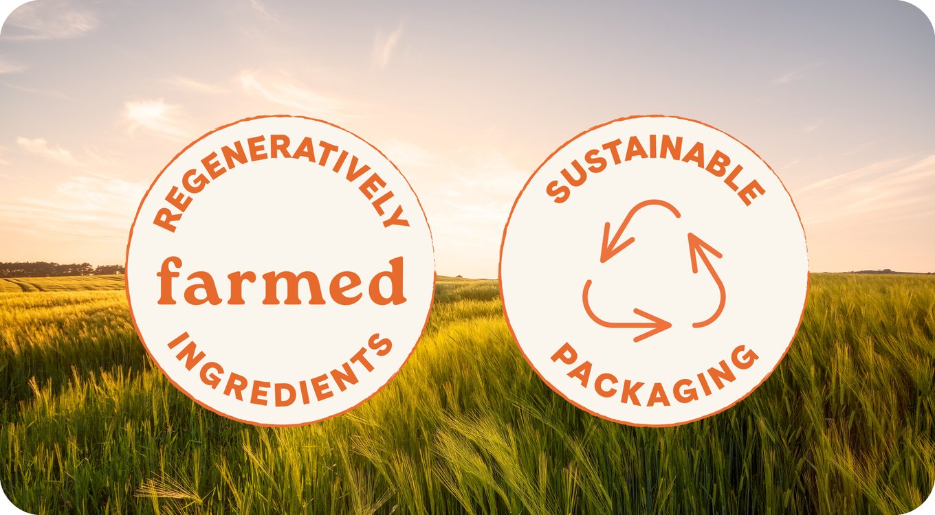 CANIDAE All Life Stages Real Chicken & Ancient Grains Recipe Dry Dog ...