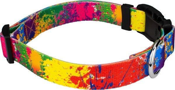 COUNTRY BROOK PETZ Deluxe Paint Splatter Dog Collar, Medium: 13 to 16 ...