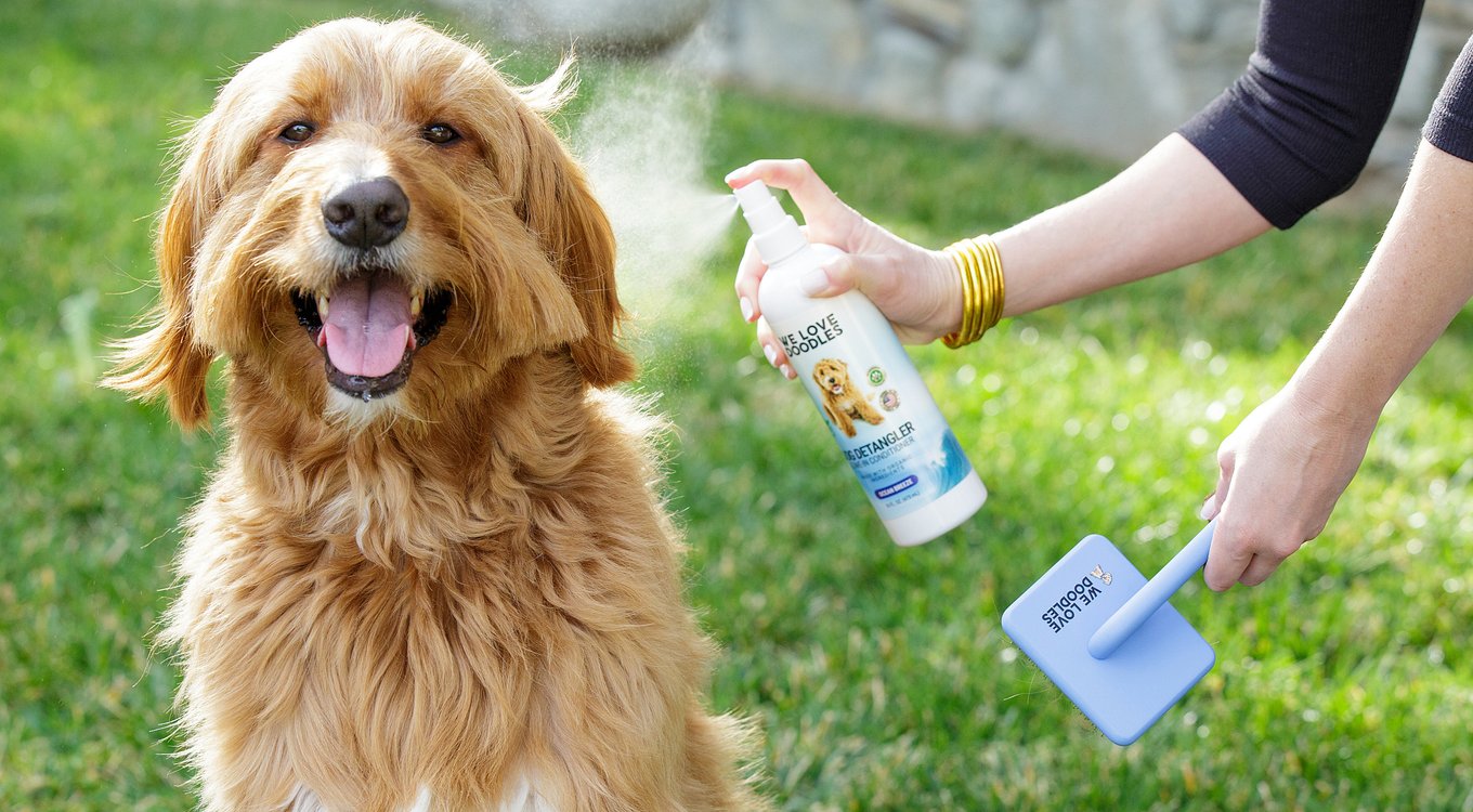 WE LOVE DOODLES Face & Flea Dog Grooming Comb, Blue, Large - Chewy.com