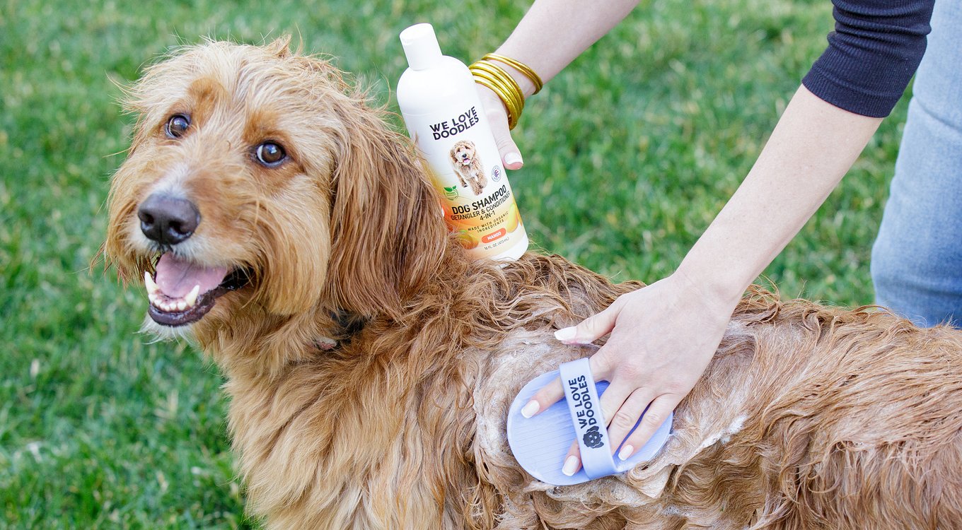 WE LOVE DOODLES Face & Flea Dog Grooming Comb, Blue, Large - Chewy.com