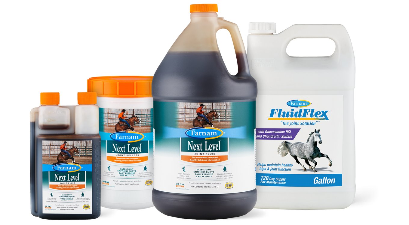 FARNAM FluidFlex Joint Solution Liquid Horse Supplement, 32-fl oz ...