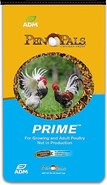 Out of Stock - ADM Pen Pals Prime Chicken Feed, 50-lb bag - Chewy.com