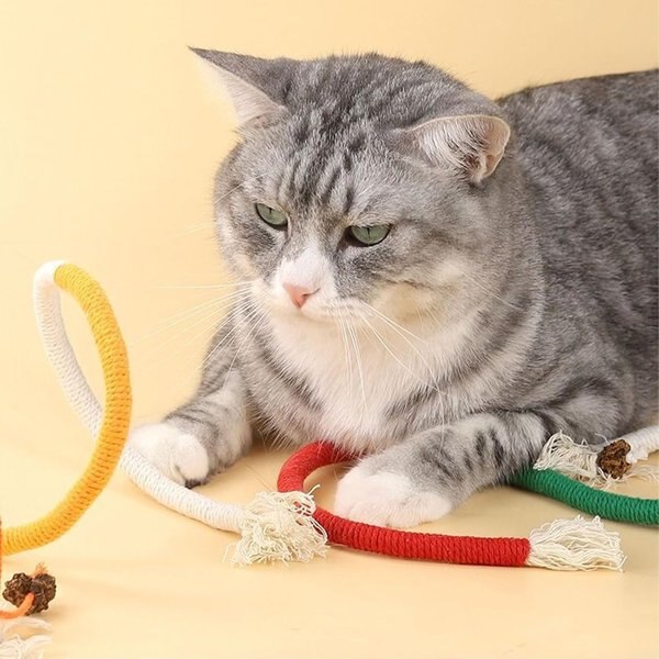 Temporarily Unavailable - LOVELY CAVES Teething Cat Rope Toy, 3 count ...