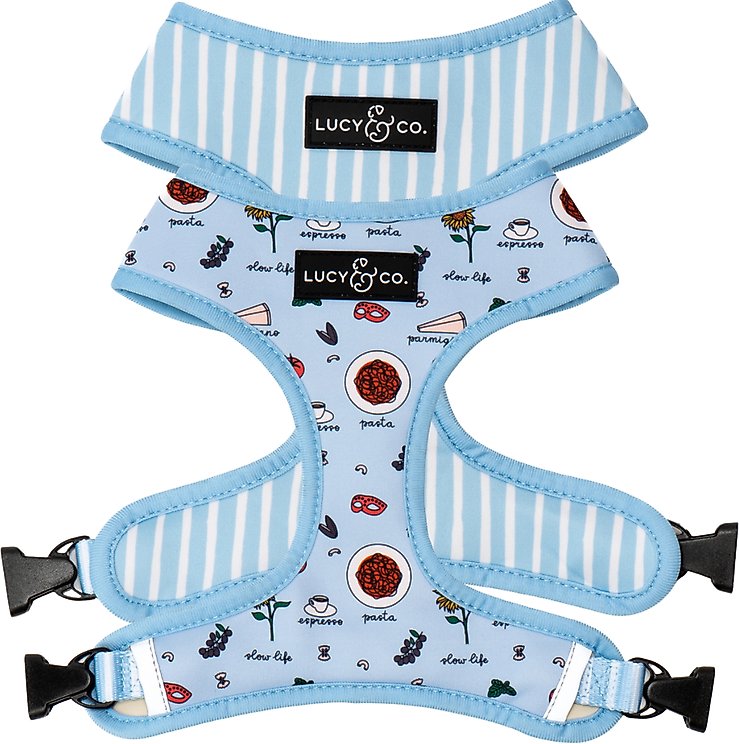 EXTRA SMALL & TOY BREEDS DOG HARNESSES - FREE SHIPPING | CHEWY