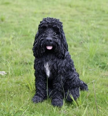 Discontinued - HI-LINE GIFT Sitting Black-Coloured Cockapoo Statue, 16. ...