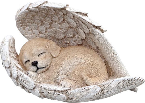 HI-LINE GIFT Angel Dog Statue Memorial Figurine, 8-in - Chewy.com