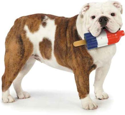 COOL PUP Toy Rocket Pop Dog Chew Toy, Large - Chewy.com