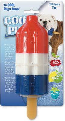 COOL PUP Toy Rocket Pop Dog Chew Toy, Large - Chewy.com