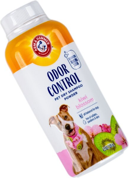 ARM & HAMMER PRODUCTS Odor Control Powder Dog Deodorizer, 4.2-oz bottle ...