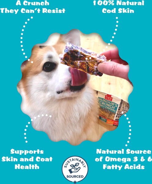 PLATO Hundur's Crunch Jerky Fingers Dog Treats, 10-oz bag - Chewy.com