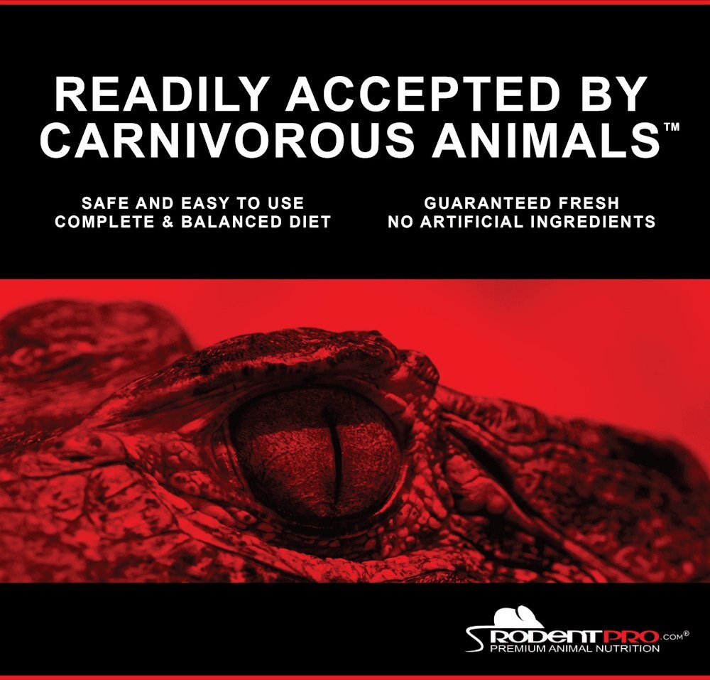 RODENT PRO Frozen Reptile Food, Large Mice, 50 count - Chewy.com