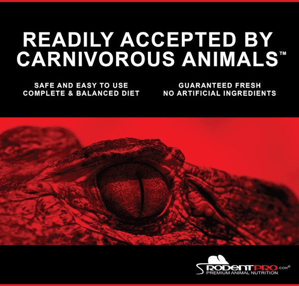 RODENT PRO Frozen Reptile Food, Fuzzy Mice, 100 count - Chewy.com