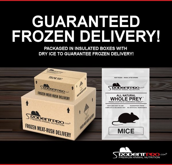 RODENT PRO Frozen Reptile Food, Fuzzy Mice, 100 count - Chewy.com