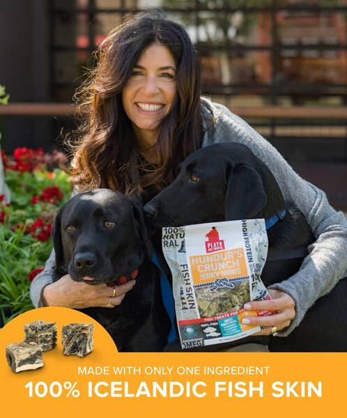 PLATO Hundur's Crunch Jerky Minis Dog Treats, 10-oz bag - Chewy.com