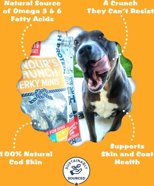 PLATO Hundur's Crunch Jerky Minis Dog Treats, 10-oz bag - Chewy.com