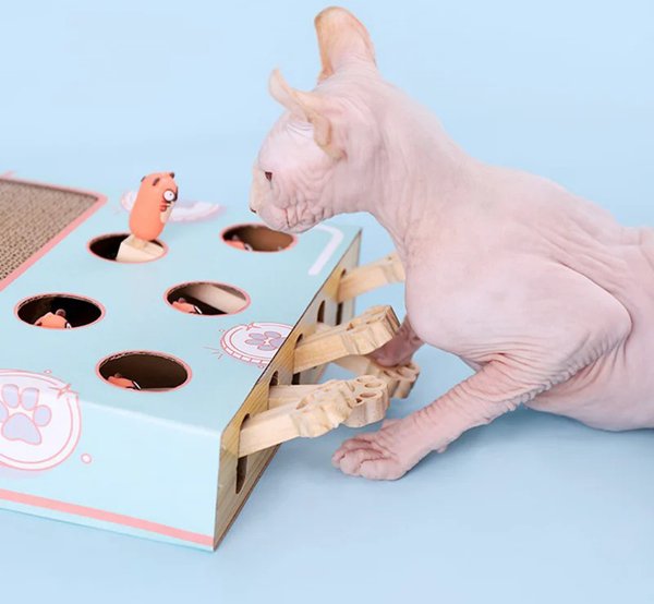 HAPPY & POLLY Interactive Hit Hamster Cat Toy, Blue - Chewy.com