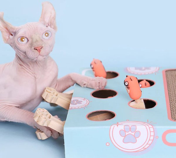 HAPPY & POLLY Interactive Hit Hamster Cat Toy, Blue - Chewy.com