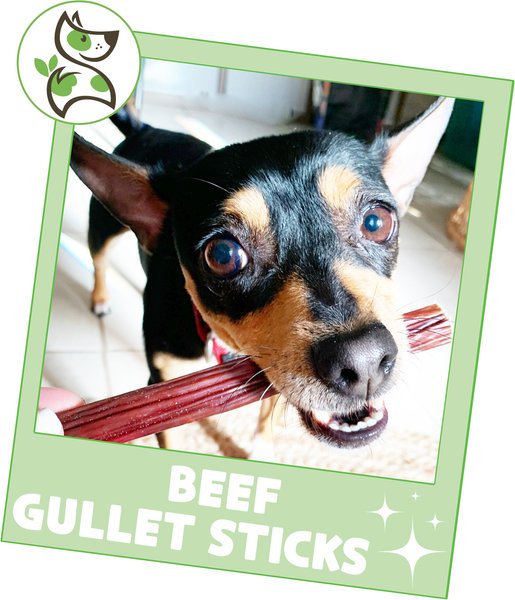 NATURE GNAWS 5 to 6-in Beef Gullet Sticks Natural Dog Chew Treats, 1-lb ...