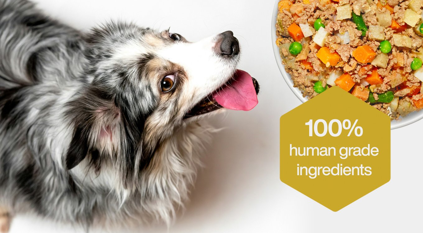 New Version Available - JUSTFOODFORDOGS Variety Pack Frozen Human-Grade ...