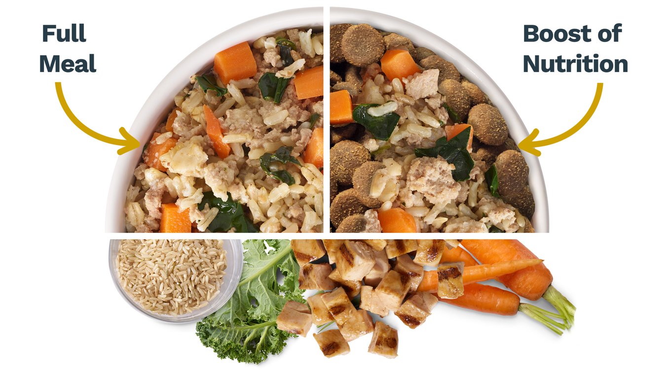 New Version Available - JUSTFOODFORDOGS Variety Pack Frozen Human-Grade ...