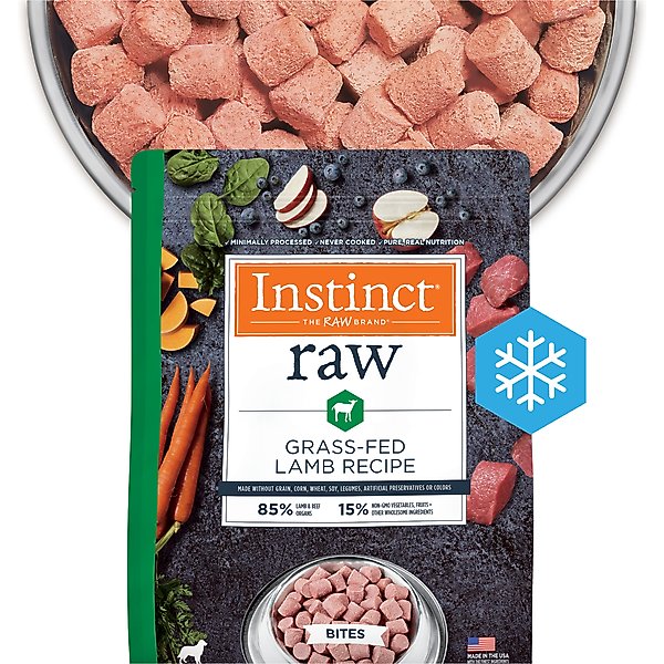 FRESHPET Vital Healthy & Natural Large Breed Fresh Dog Food, 5-lb bag ...