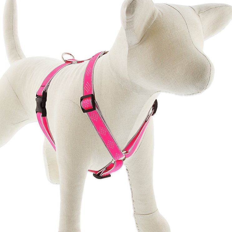 Back Clip Dog Harnesses - Free shipping | Chewy