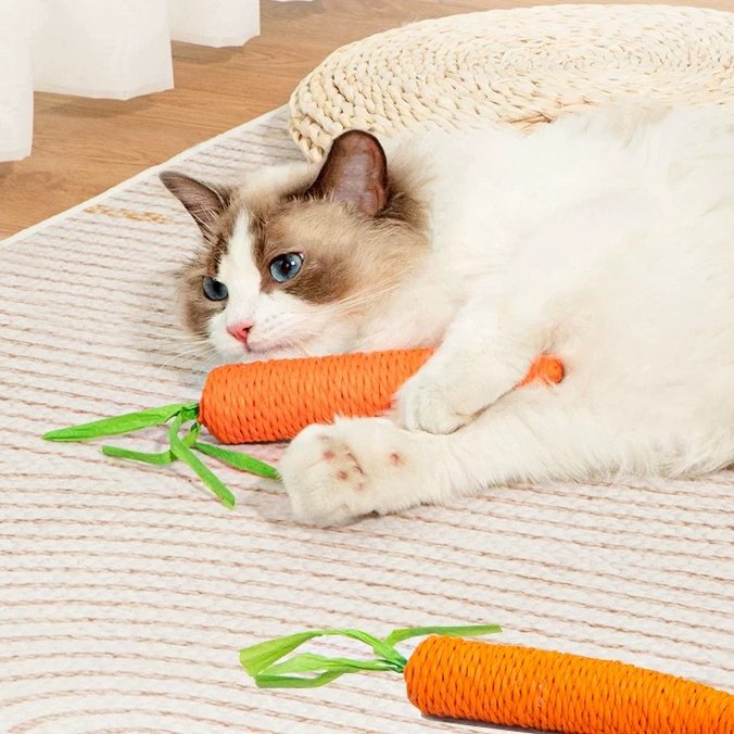 Cat Chew Toys: Chew Toys for Kittens & Cats (Free Shipping) | Chewy