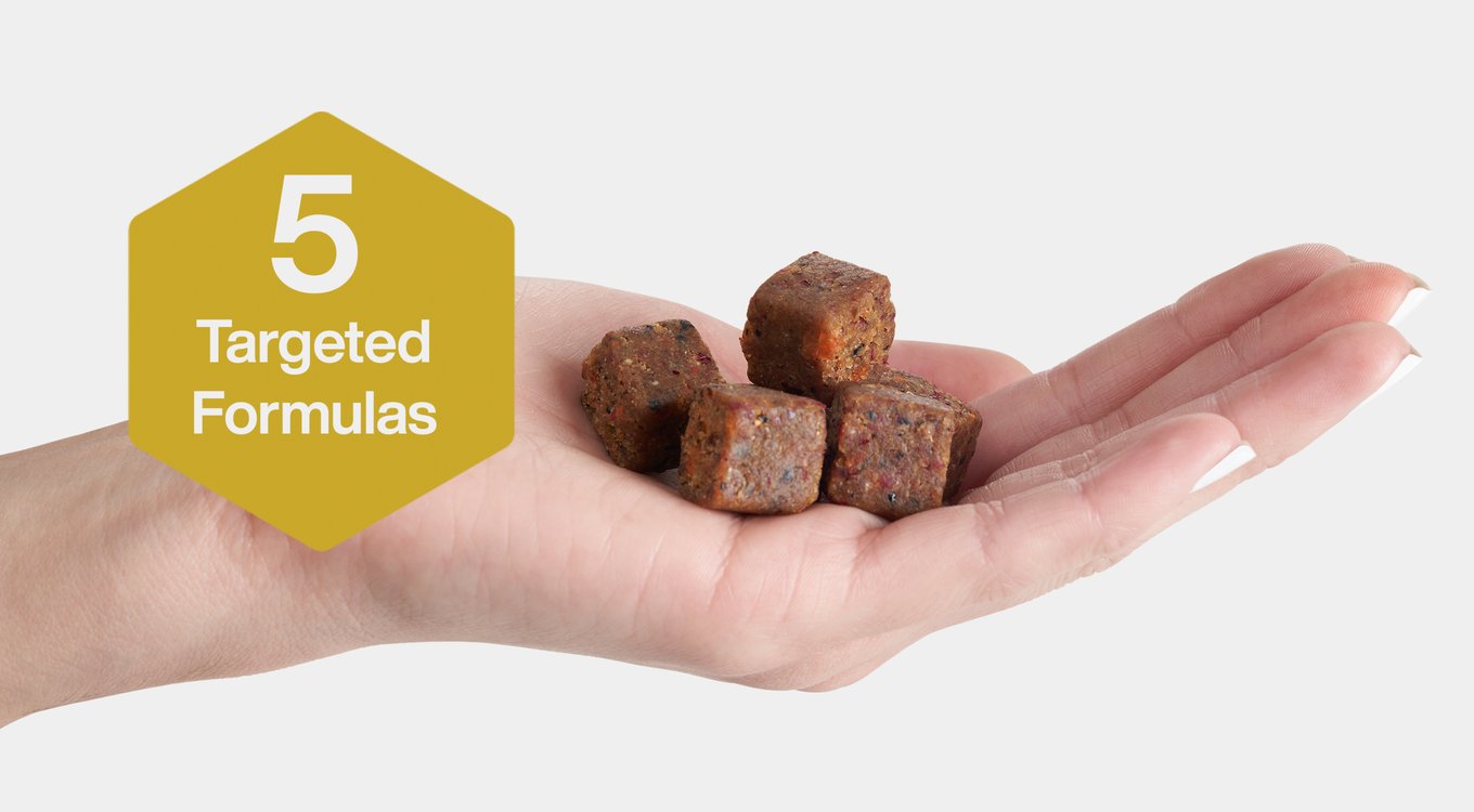 JUSTFOODFORDOGS Probiotic Booster Gut, Digestive Health Support ...