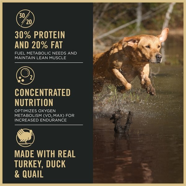 PURINA PRO PLAN Sport Performance All Life Stages High-Protein 30/20 ...