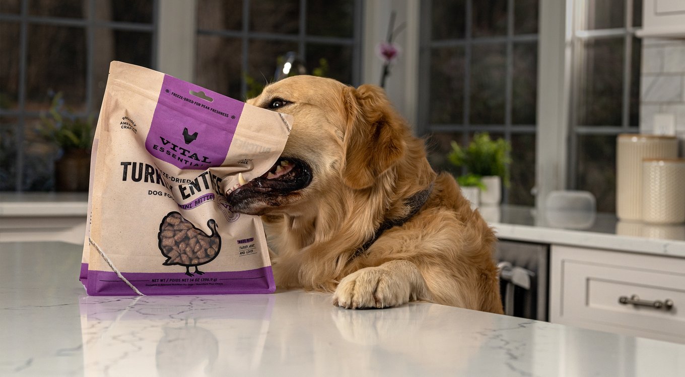 VITAL ESSENTIALS Freeze-Dried Raw Beef & Salmon Entree & Mixer Soft ...