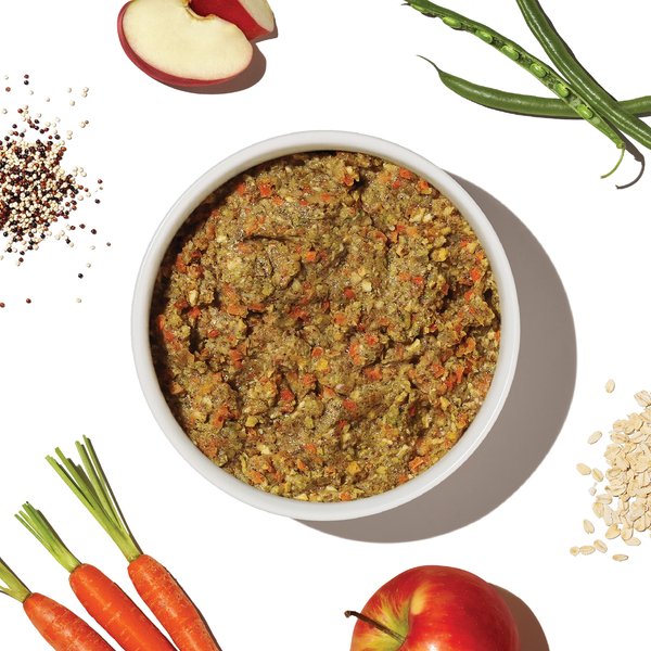 Out of Stock - THE HONEST KITCHEN Wholemade Whole Grain, Veggie & Fruit ...