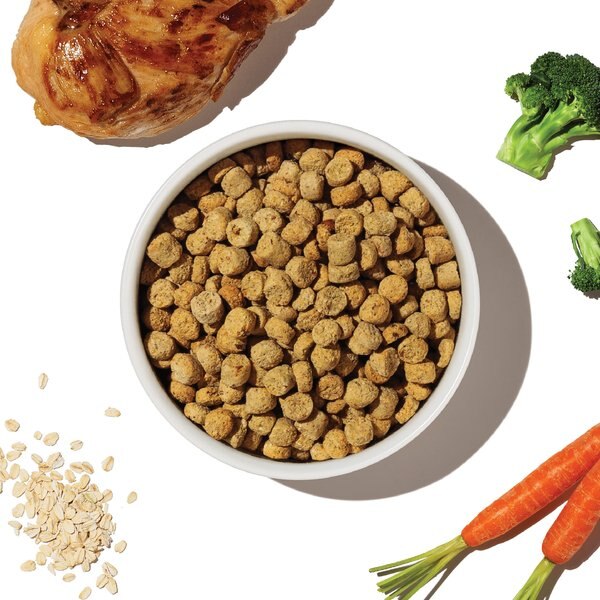 THE HONEST KITCHEN Food Clusters Whole Grain Chicken & Oat Recipe Puppy ...