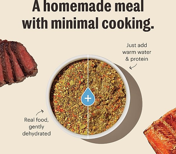 THE HONEST KITCHEN Wholemade Grain-Free Fruit & Veggie Base Mix ...