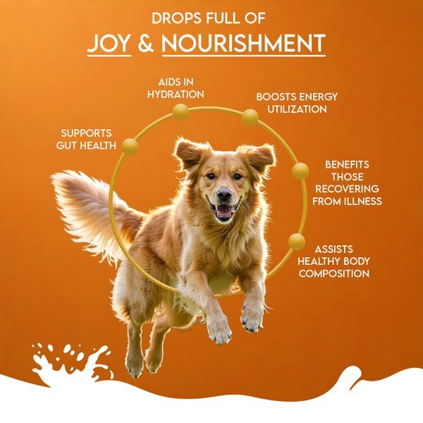 PAWFECT Nature Sip Goat Milk Powder with Pumpkin, Apple & Cinnamon ...