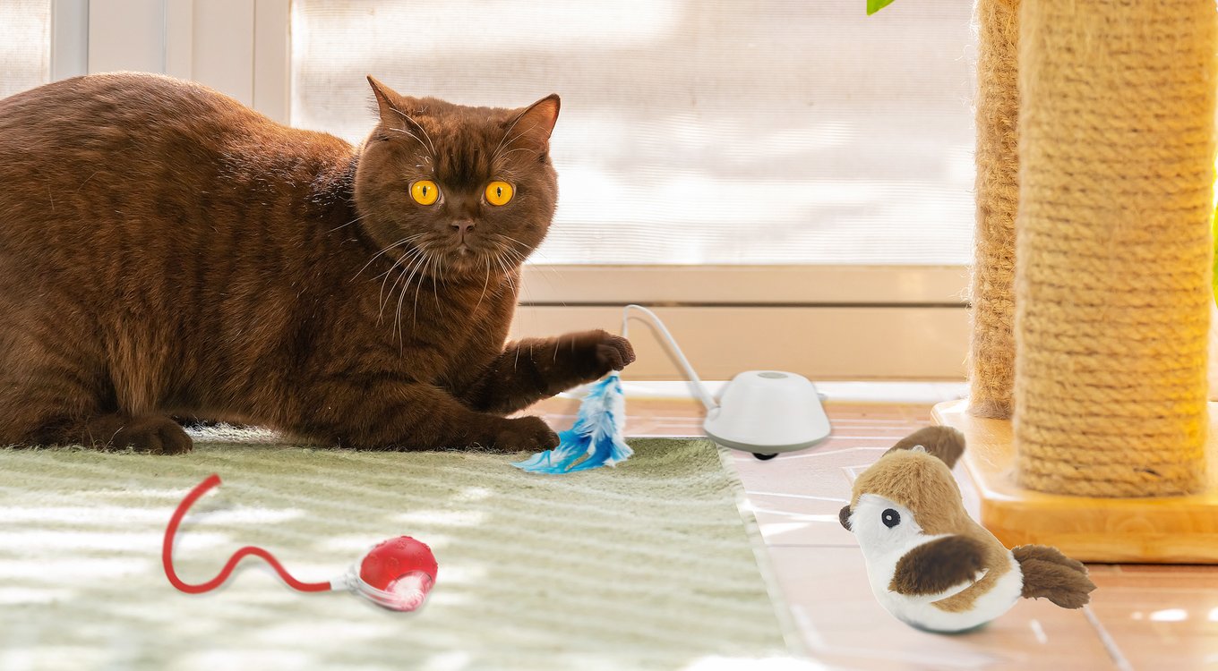 PET FIT FOR LIFE Stuffed Cat with Calming Heartbeat & Heating Pad Plush ...