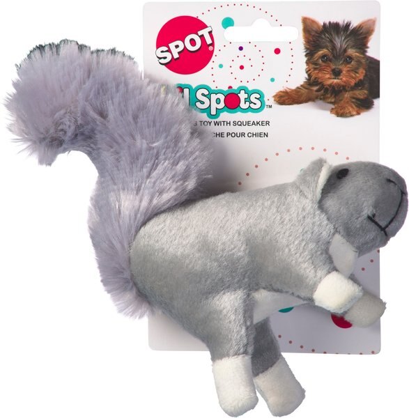 SPOT Ethical Products Spot Lil Spots Squirrel Dog Toy, 7-in - Chewy.com
