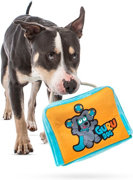 GURU Juggling Guru Fun Box Interactive Treat & Puzzle Dog Toy - Chewy.com