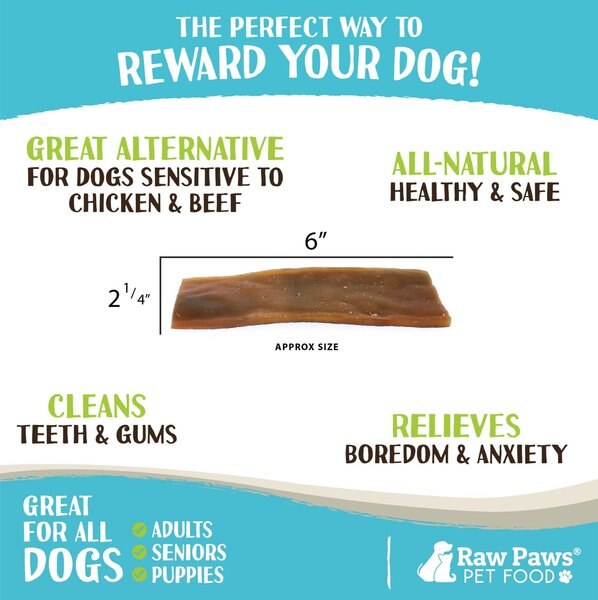 RAW PAWS 6-inch Camel Skin Dog Chew, 15 count - Chewy.com