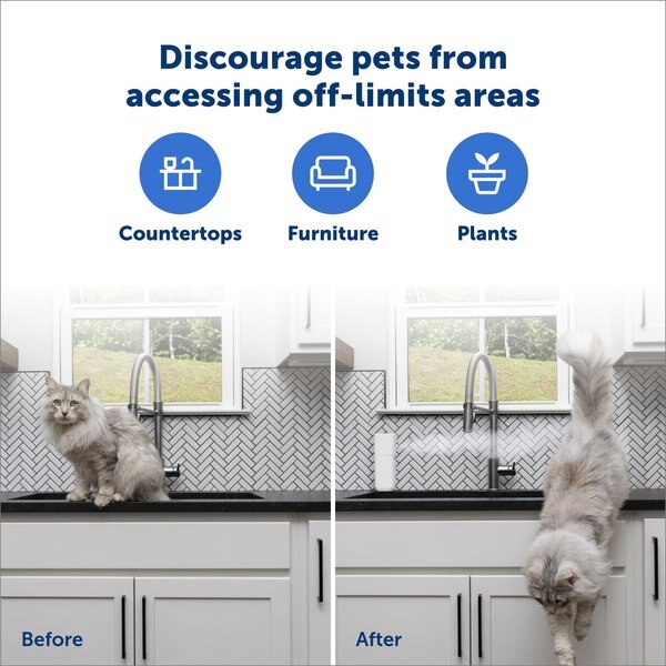 PETSAFE SSSCAT Unscented Dog & Cat Automatic Deterrent Spray - Chewy.com