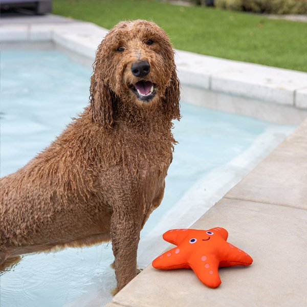 FRINGE STUDIO Shelly Floating Dog Toy - Chewy.com